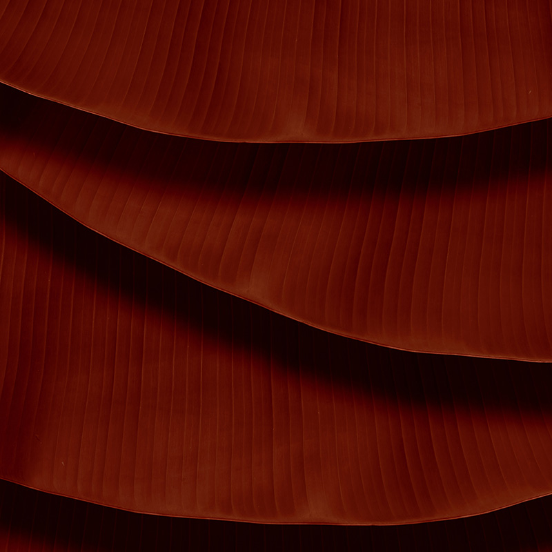 About – Ionic Solutions